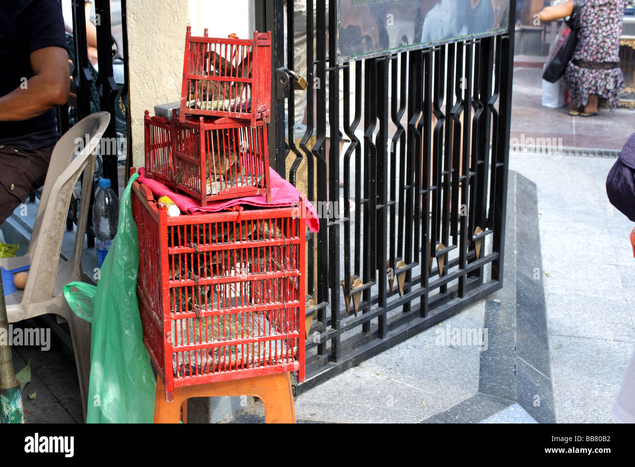 Shrine bird hi-res stock photography and images - Alamy
