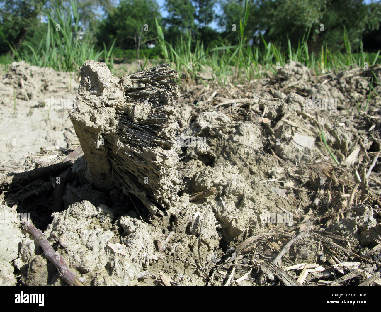 Man covered in black mud hi-res stock photography and images - Alamy