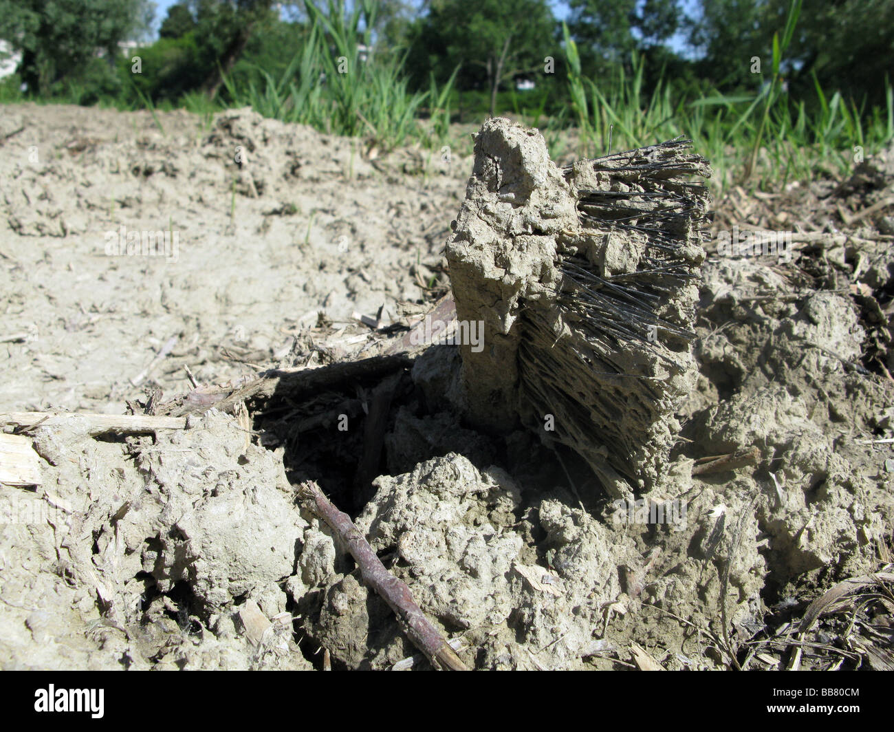 Man covered in black mud hi-res stock photography and images - Alamy