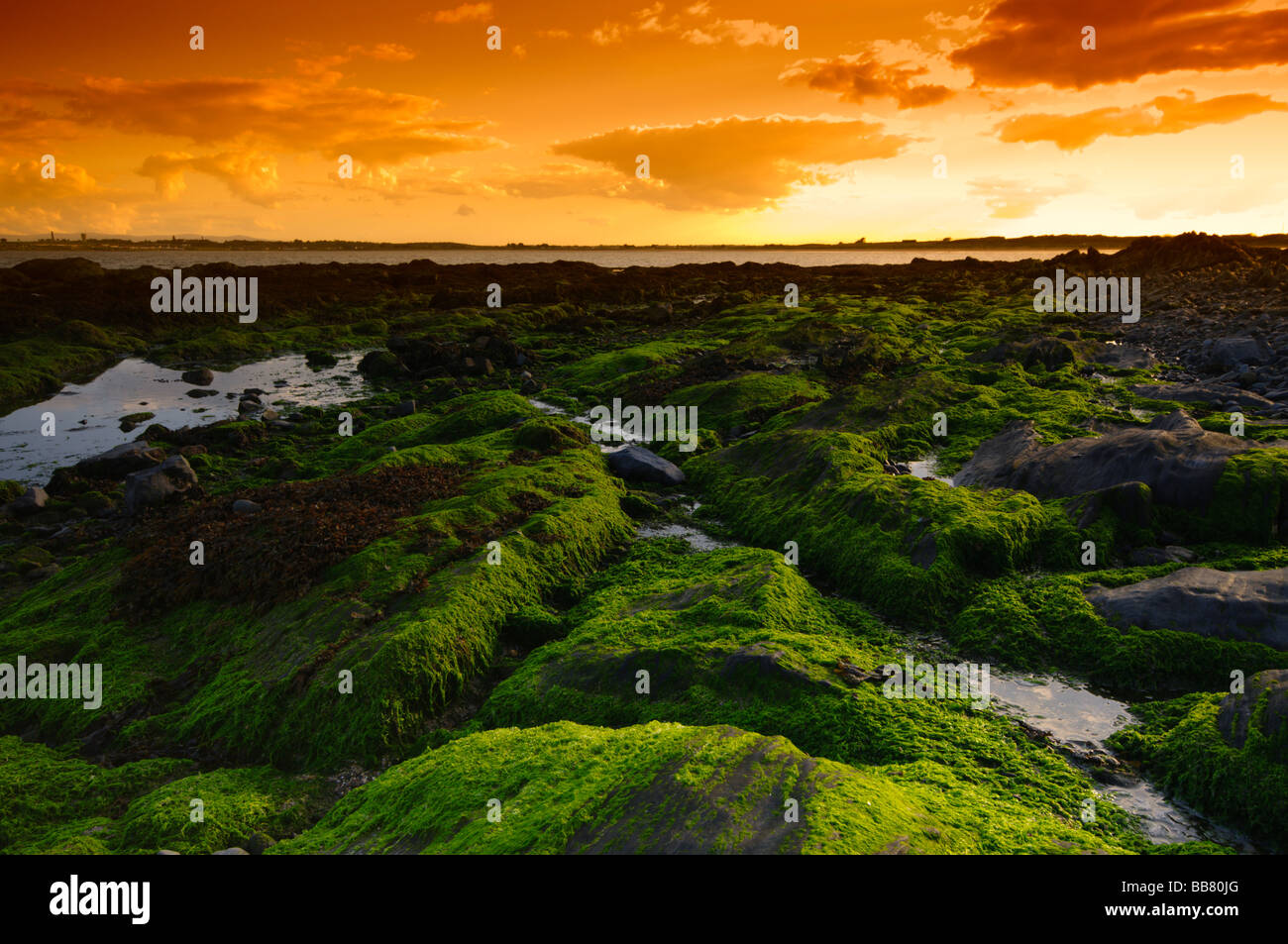 Rush rocks hi-res stock photography and images - Alamy