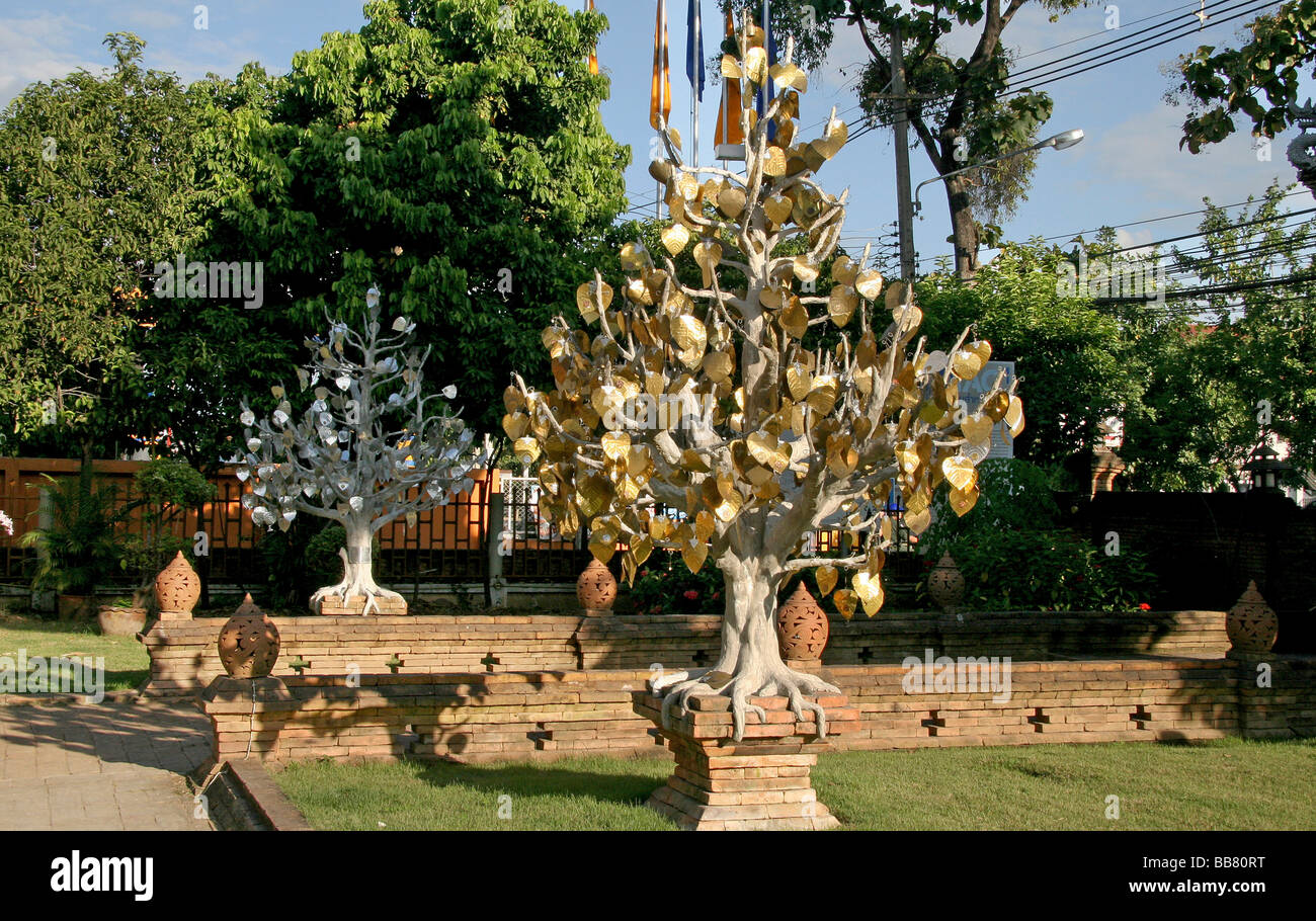 Wat Lok Molee, Wat Lok Moli, temple site, "Tree of Luck", "Lucky Tree ...