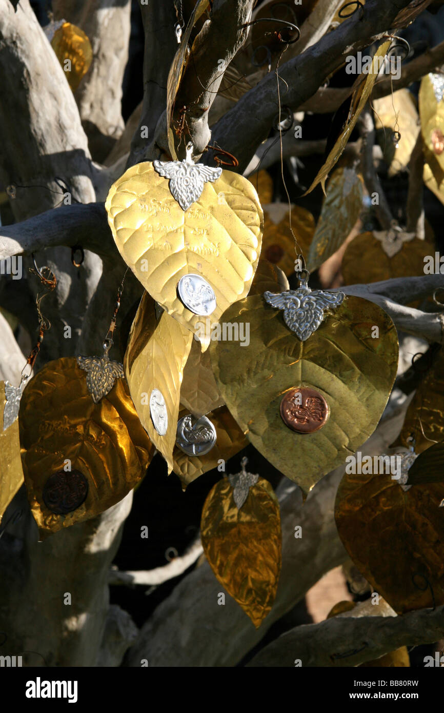 Golden good-luck tree, coins stuck on the leaves, Wat Lok Molee, Wat ...