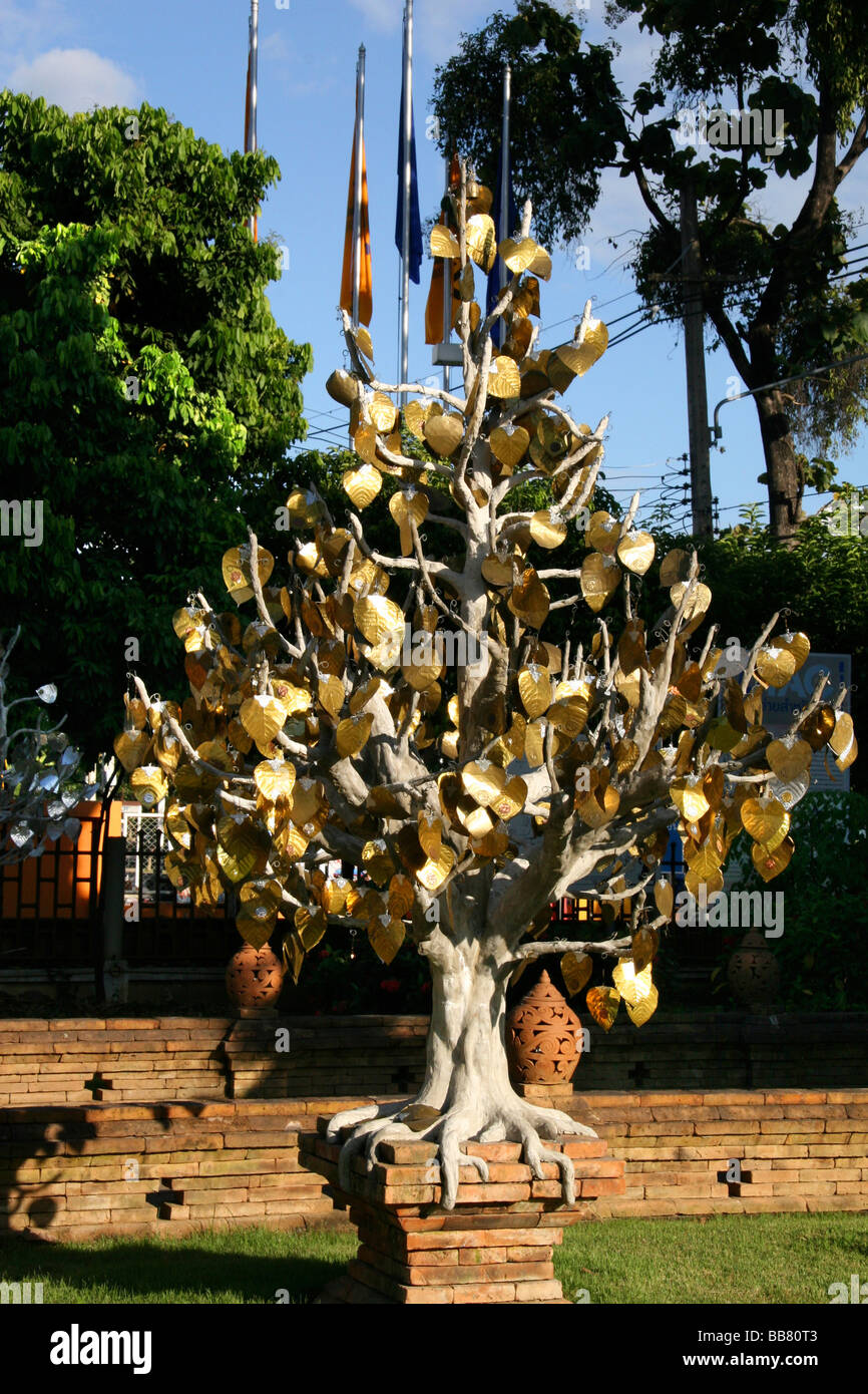 Golden good-luck tree, coins stuck on the leaves, Wat Lok Molee, Wat ...