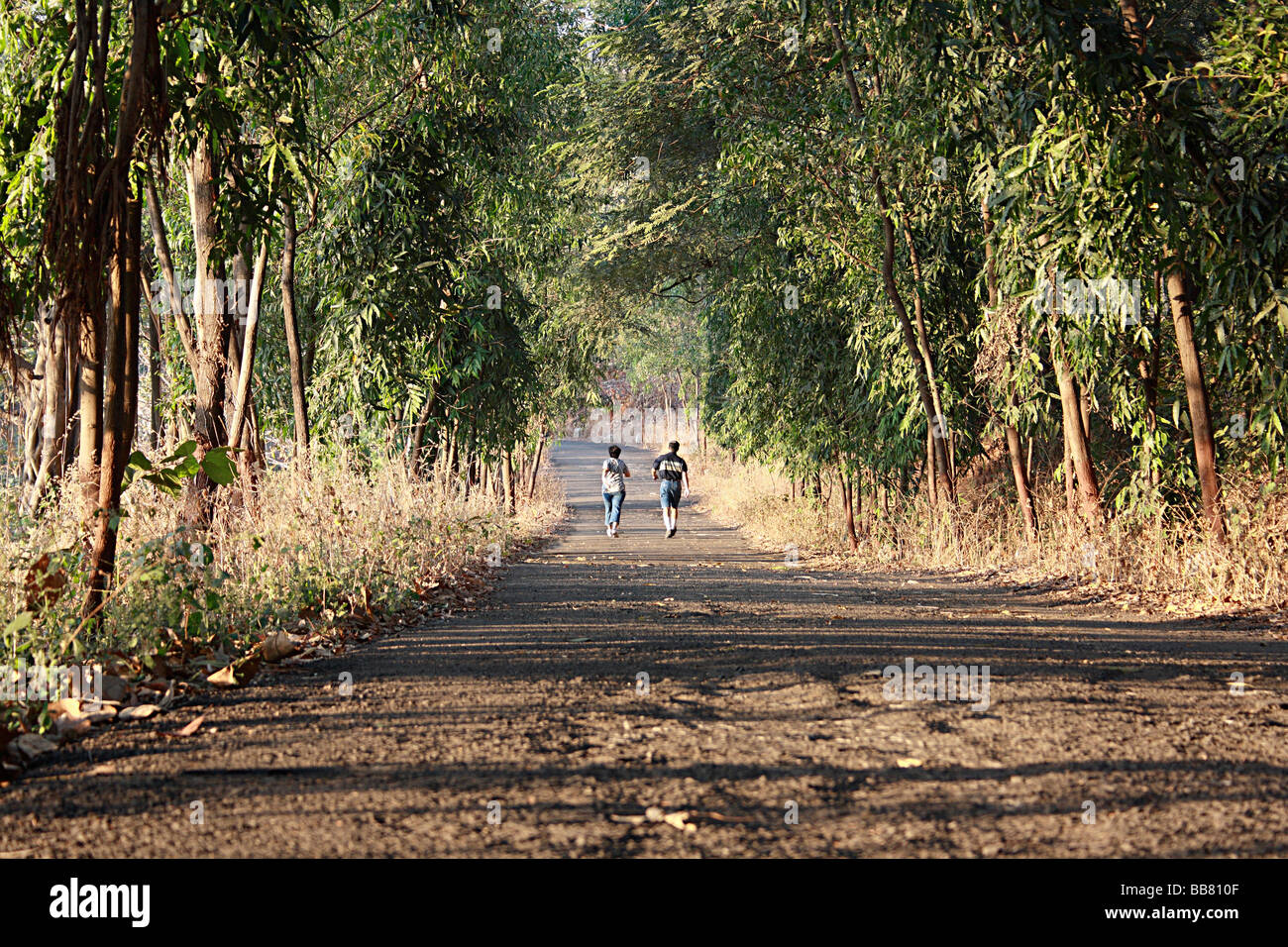 Lonely runner on road hi-res stock photography and images - Alamy