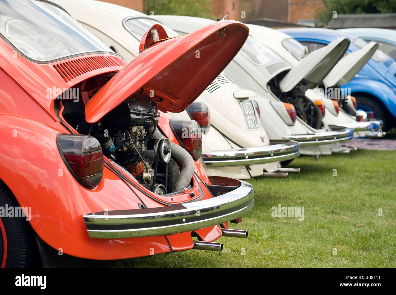 Volkswagen beetles at a classic car rally, Wallingford, Oxfordshire, UK ...