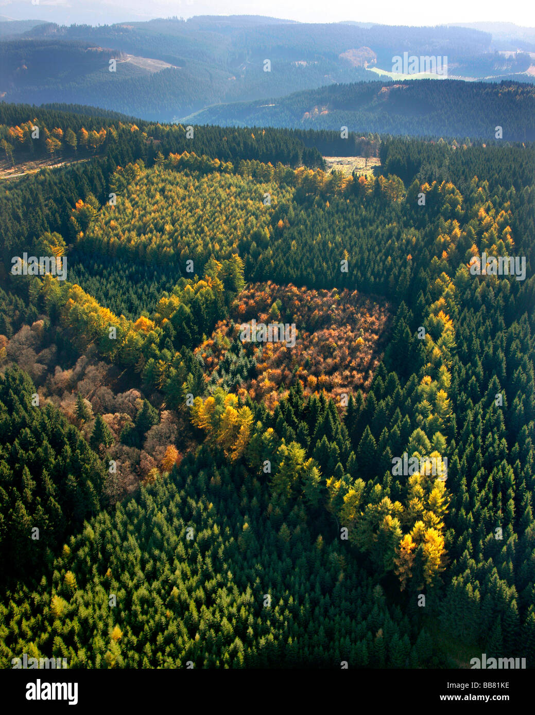 Roehrenspring hi-res stock photography and images - Alamy