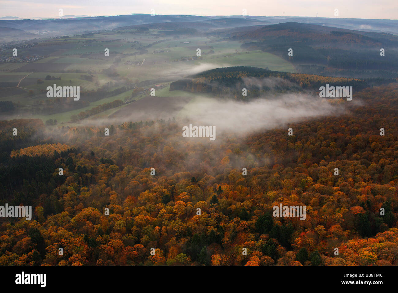 Aerial photo, Warstein forest, Warstein, Kreis Soest, Soester Boerde ...