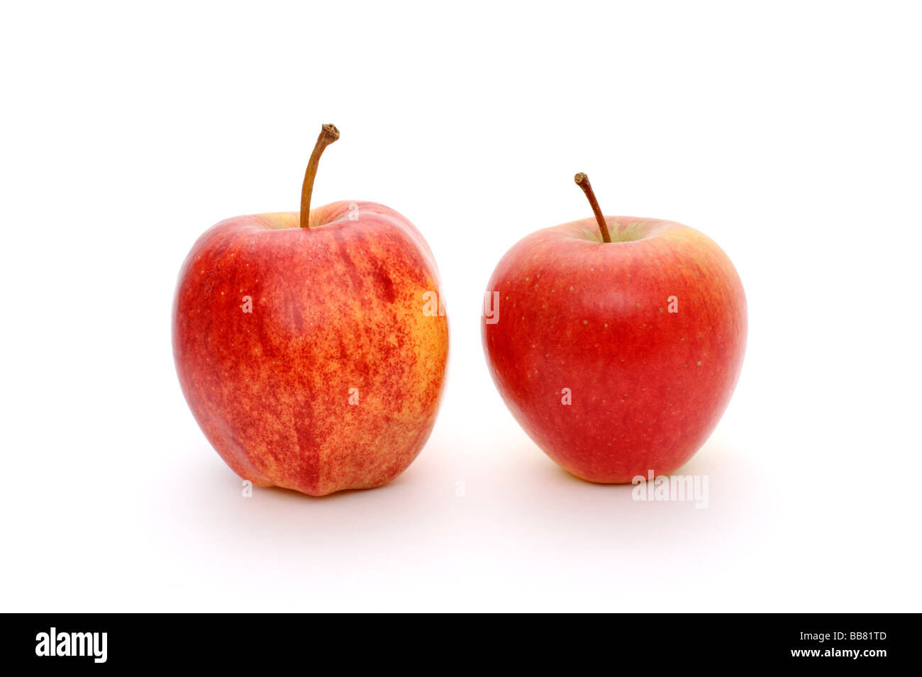 Apfel Sorten Stock Photos & Apfel Sorten Stock Images - Alamy