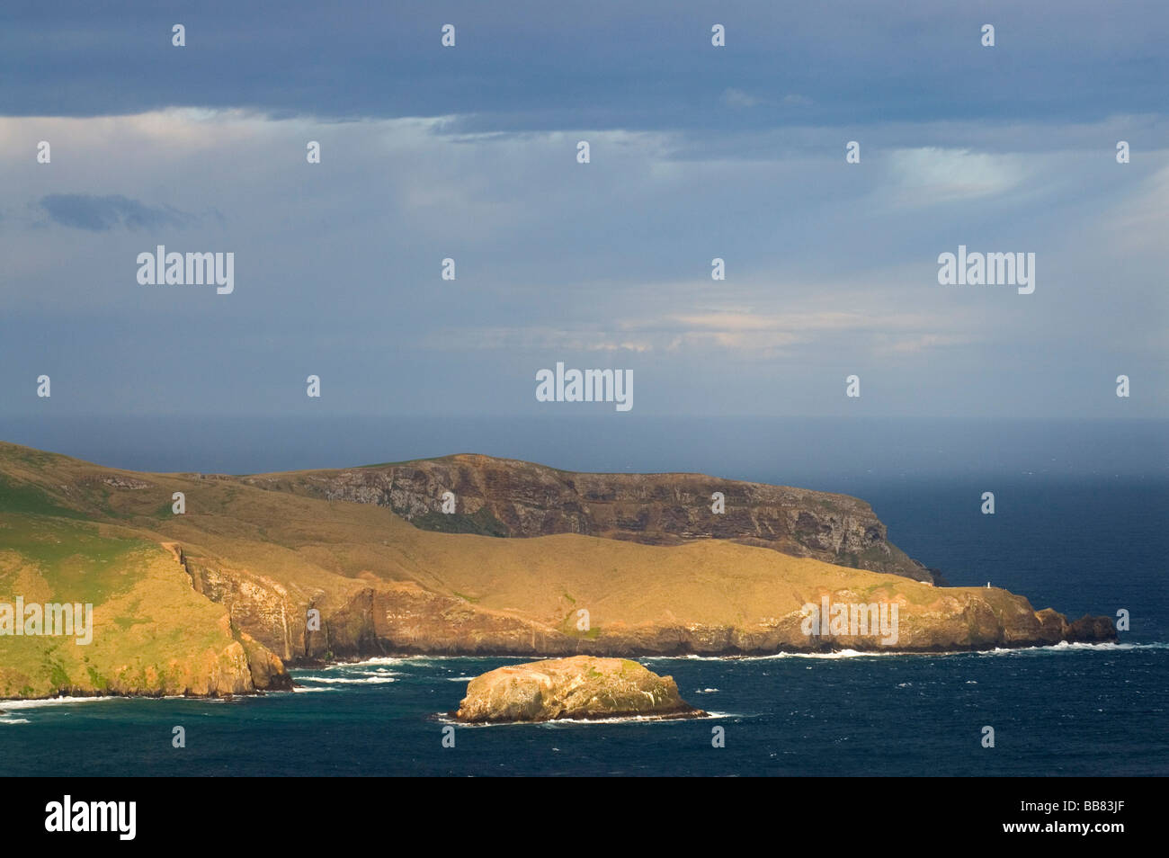 Cape saunders hi-res stock photography and images - Alamy