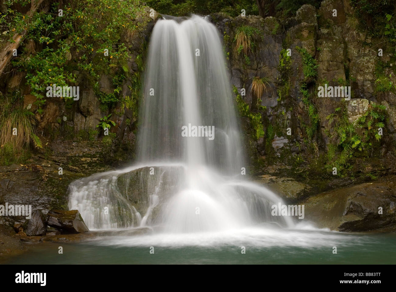 Waiau Falls near the 309 road in the north of Coromandel Peninsula, New ...