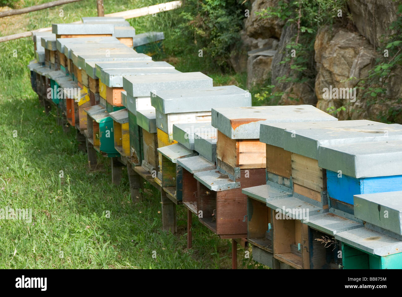 Honey bee hives italy hi-res stock photography and images - Alamy