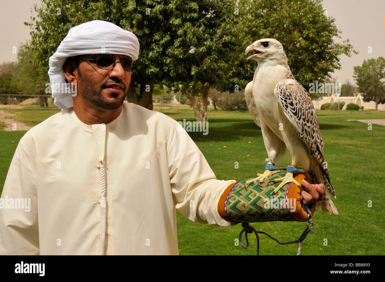 Falconer holding a falcon, the national animal of Abu Dhabi, at the Al ...