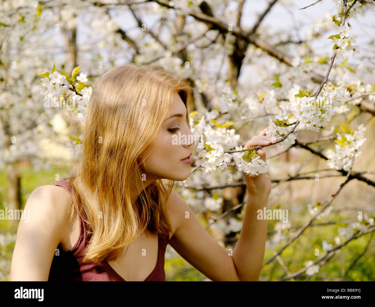 1253139 people portrait one woman 25 30 years adult blonde smell tree ...