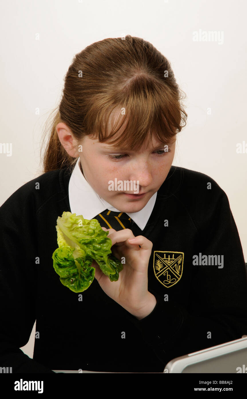 Leaf munching hi-res stock photography and images - Alamy