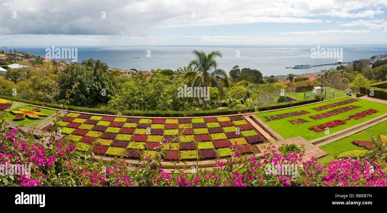 Botanical Garden, Jardim Botanico, Funchal, Madeira, Portugal Stock ...