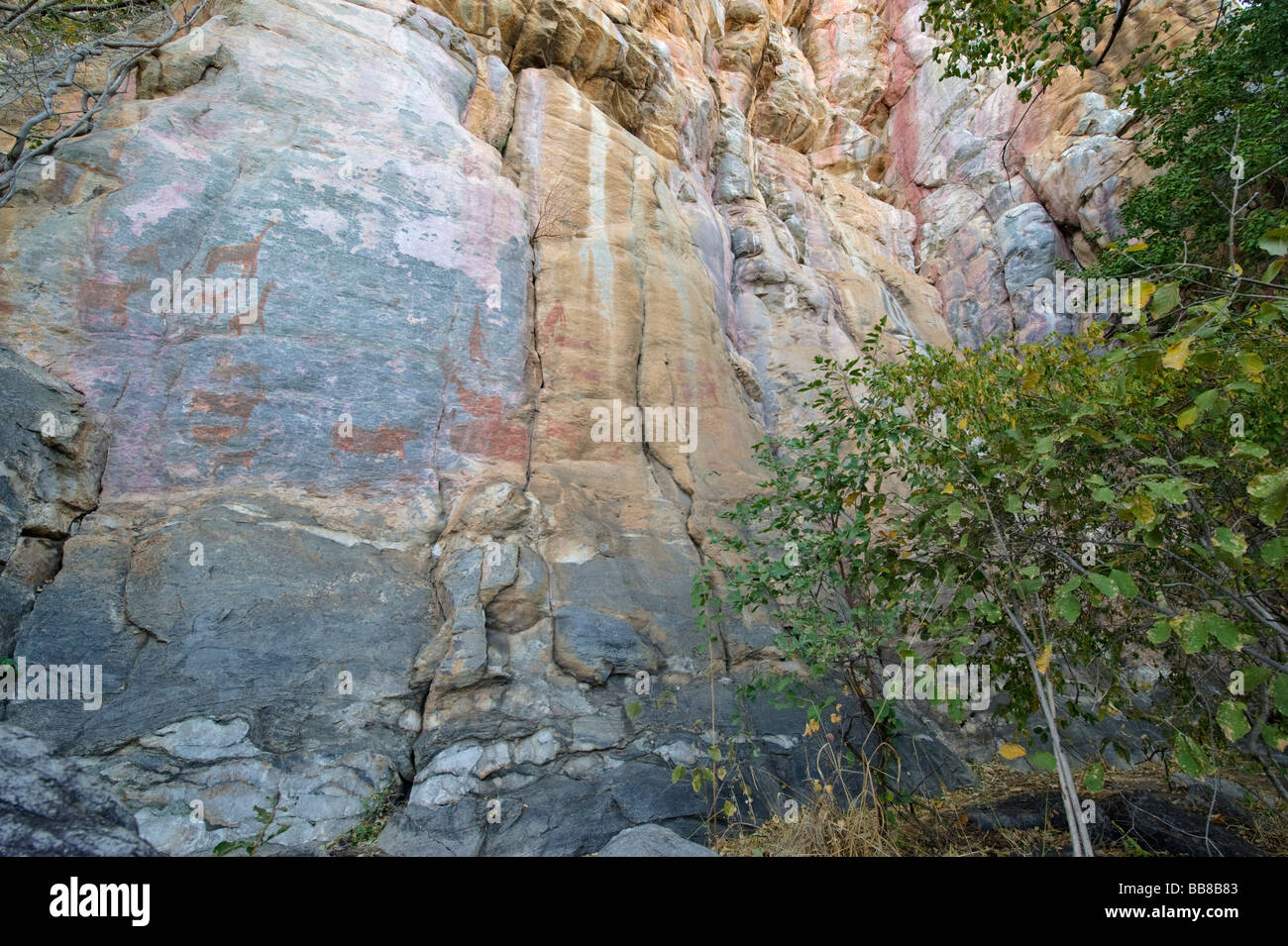 Rock paintings with Giraffes in UNESCO World Heritage Site, Tsodilo ...