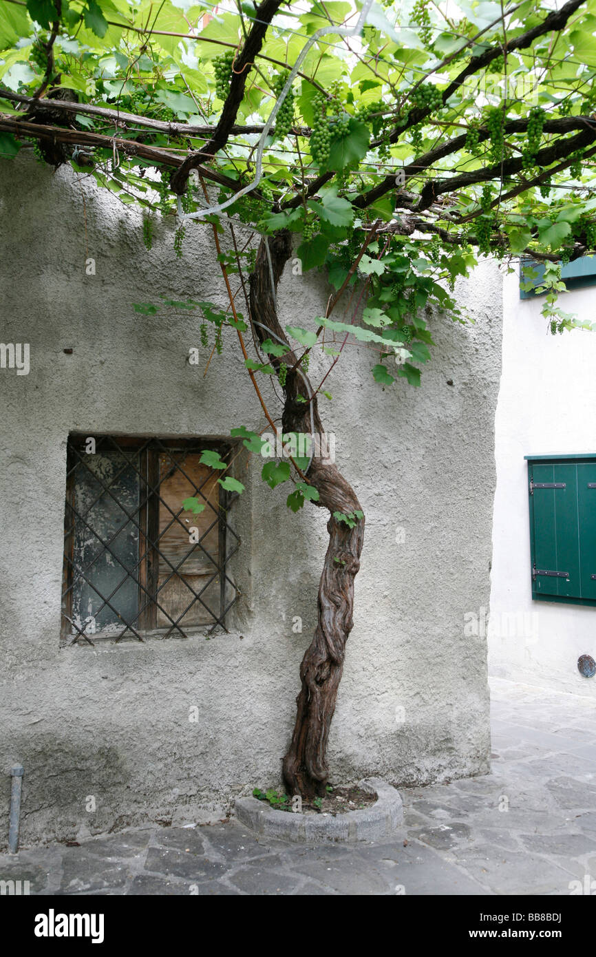 Italy grado view old town hi-res stock photography and images - Alamy