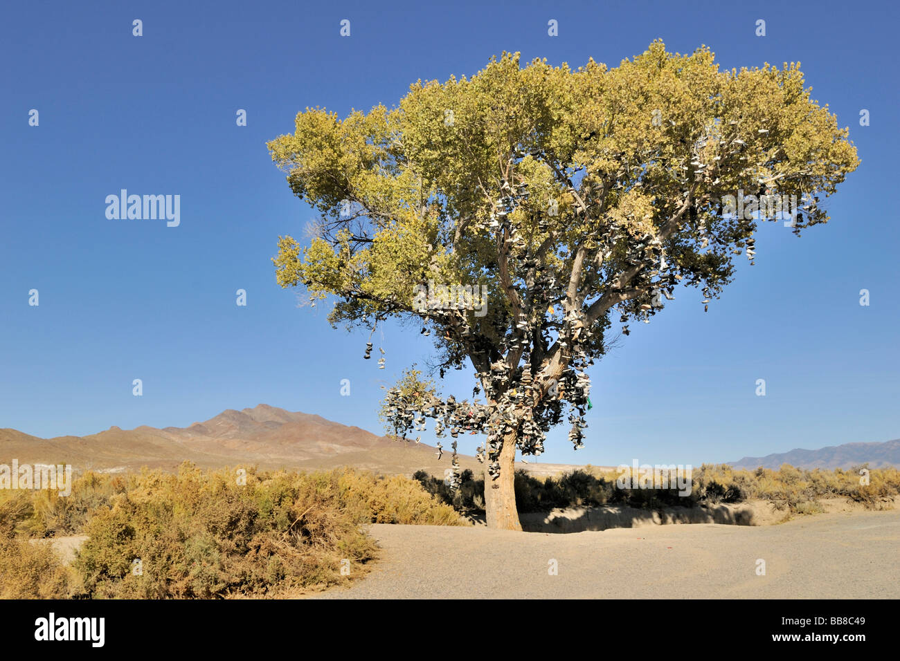 Fallon nevada hi-res stock photography and images - Alamy