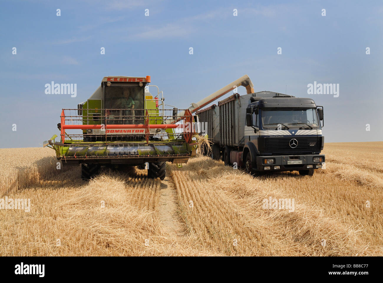 Combine harvester loading threshed grain into a truck Stock Photo ... Combine harvester loading threshed grain into a truck Stock Photo ...