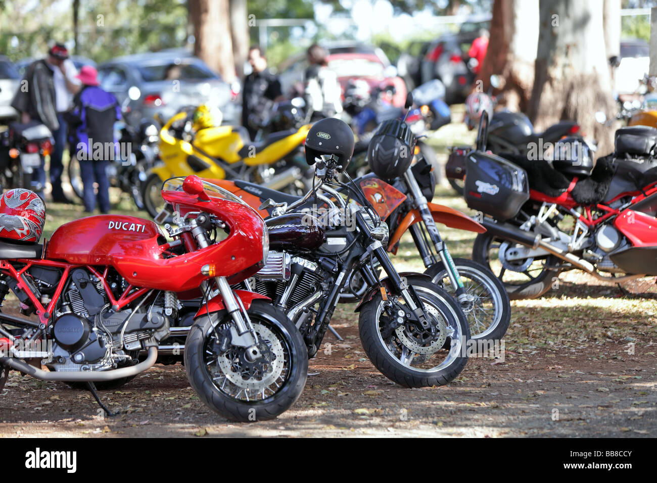 Ducati Motorcycle Club Meets Display High Resolution Stock Photography ...
