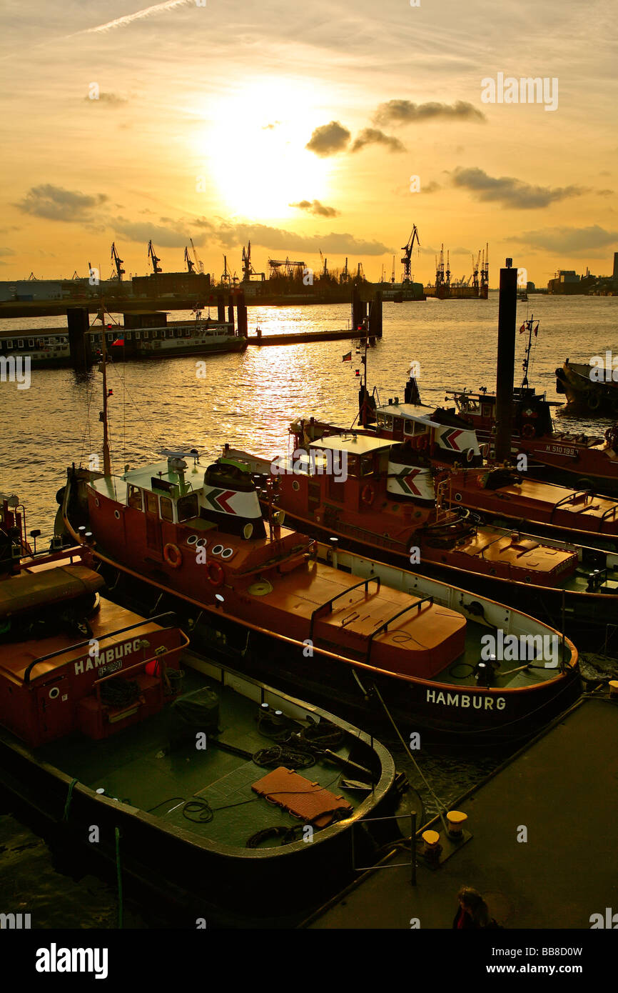 Old harbour tugs in Hamburg Harbour, sunset, Hamburg, Germany Stock ...