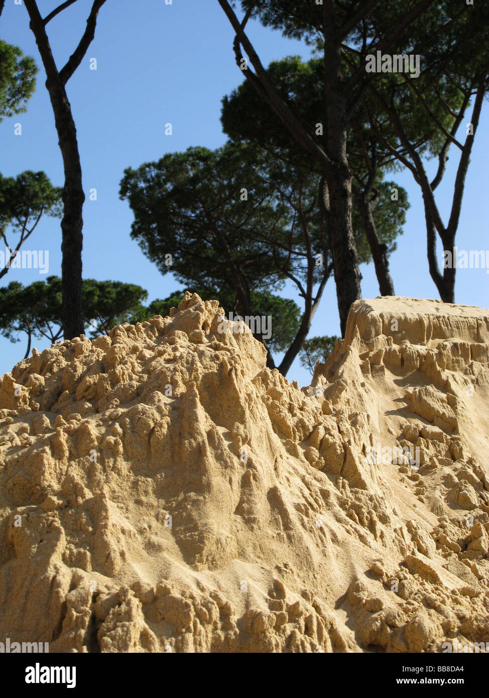 abstract nature shapes in a pile of sand with trees on building site ...
