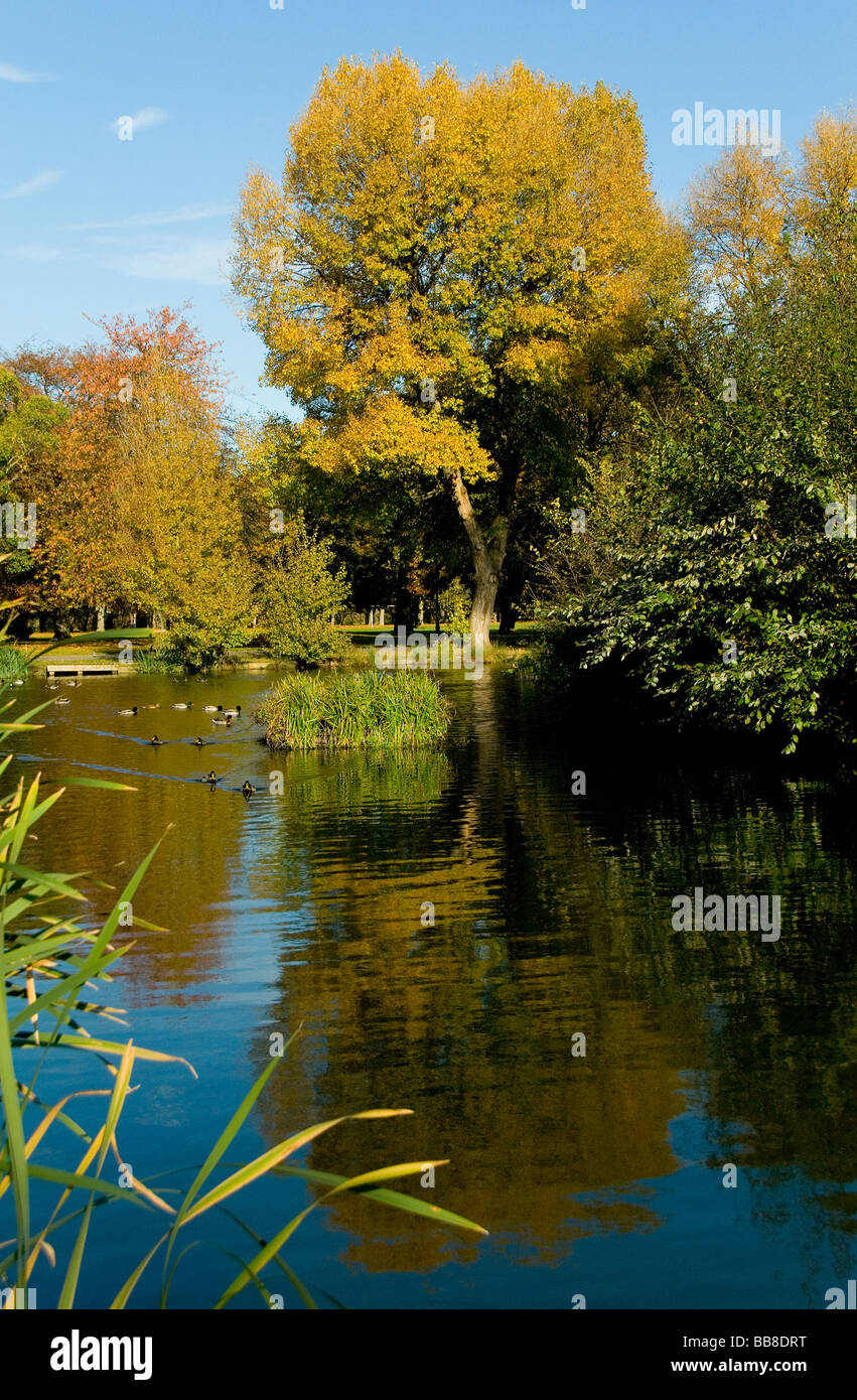 Bathing pond hi-res stock photography and images - Alamy