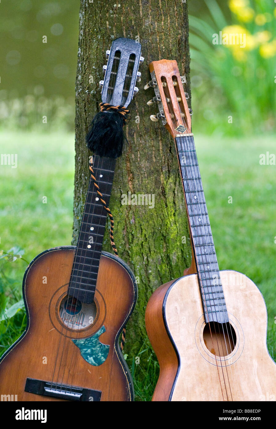 Two old classical guitars leaning against a tree Stock Photo - Alamy