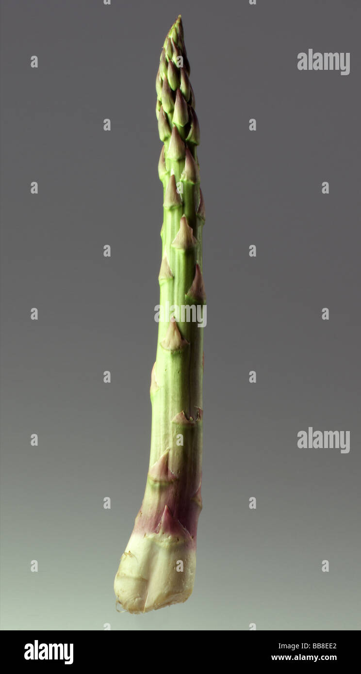 Asparagus crown hi-res stock photography and images - Alamy