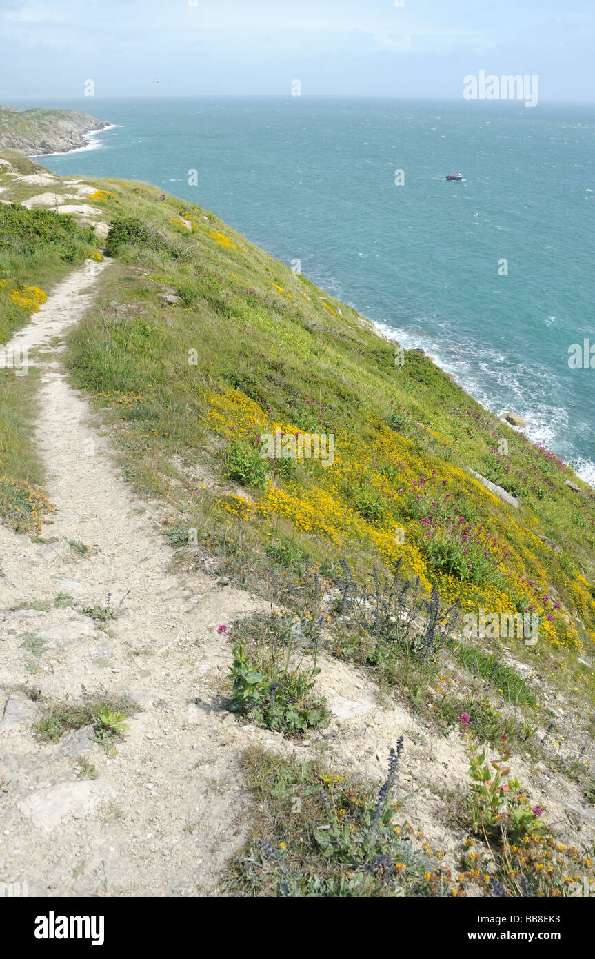 Coast coastpath hi-res stock photography and images - Alamy