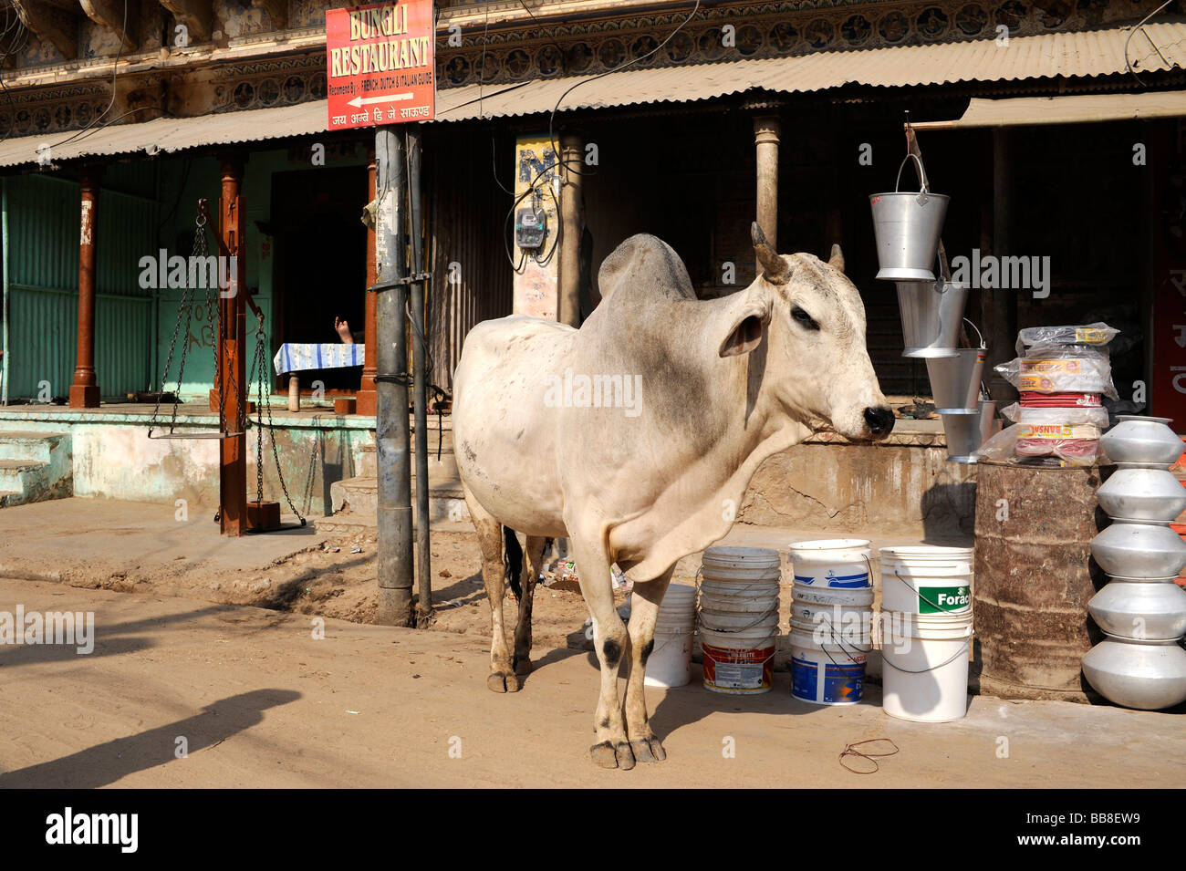 Shekhawati hi-res stock photography and images - Alamy
