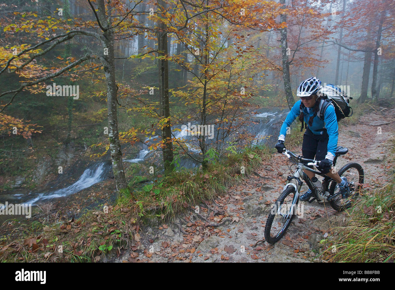 Human forest bike hi-res stock photography and images - Alamy