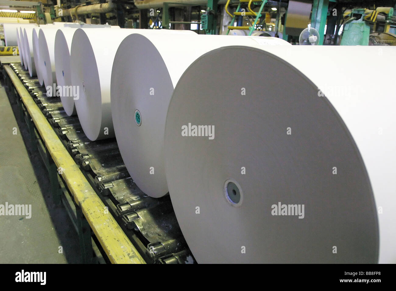Paper and pulp mill plant - Rolls of cardboard Stock Photo - Alamy