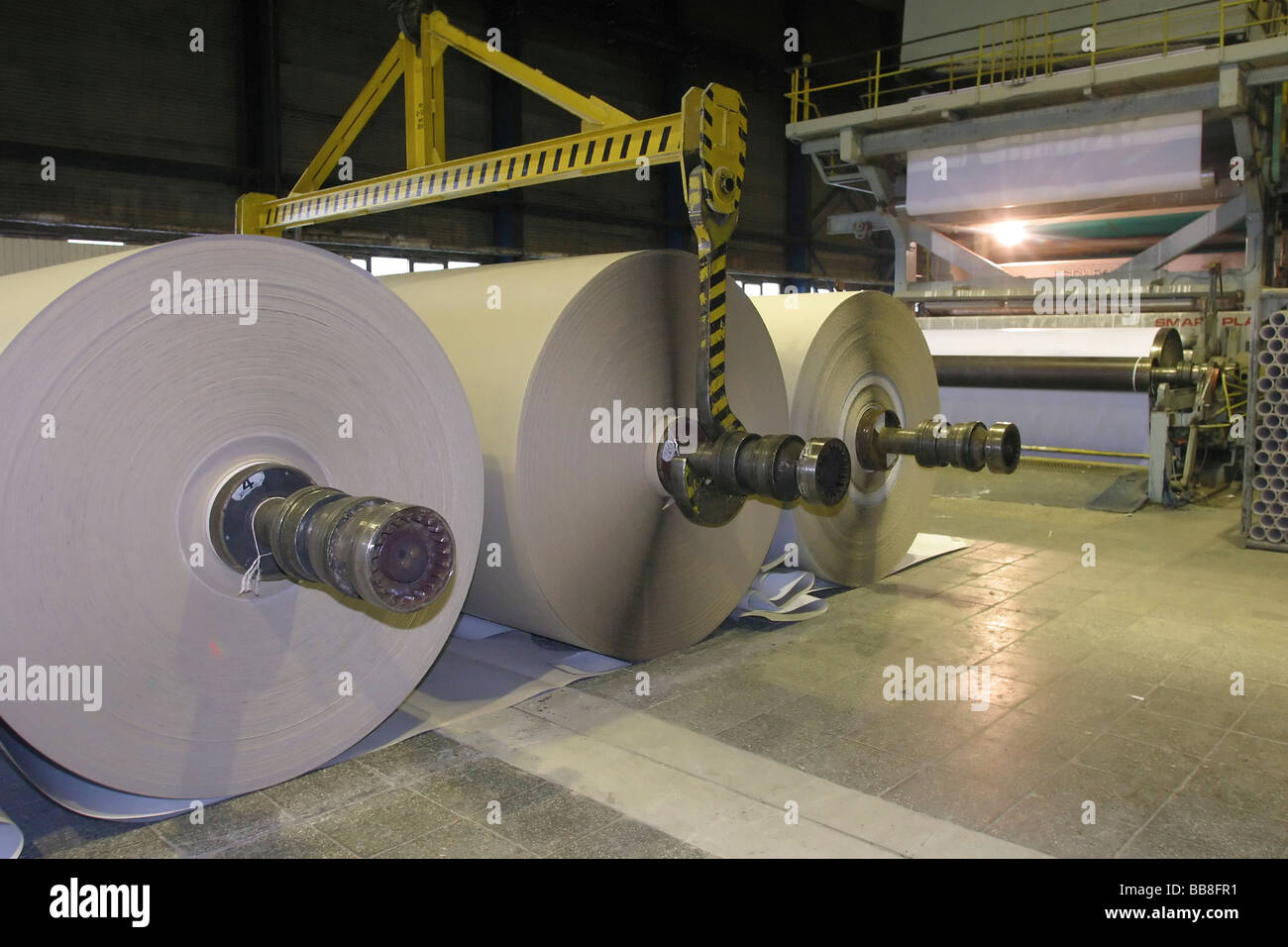 Paper and pulp mill plant - Rolls of cardboard Stock Photo - Alamy