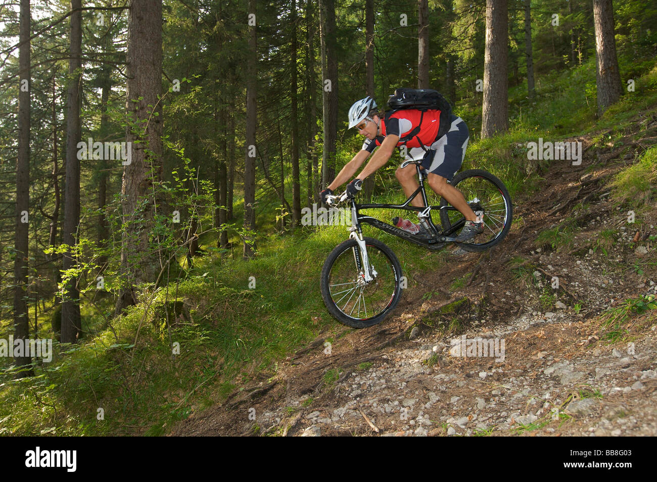 Mountainbike rider riding along a root trail in a forest near Garmisch ...