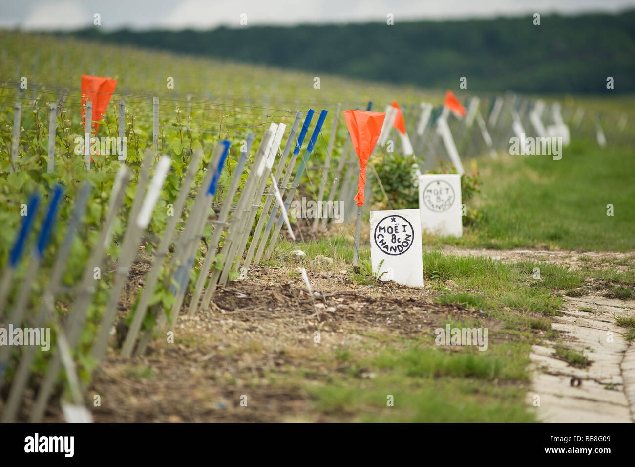 Moet and Chandon vineyard sign at Hautvillers Marne Valley France Stock ...