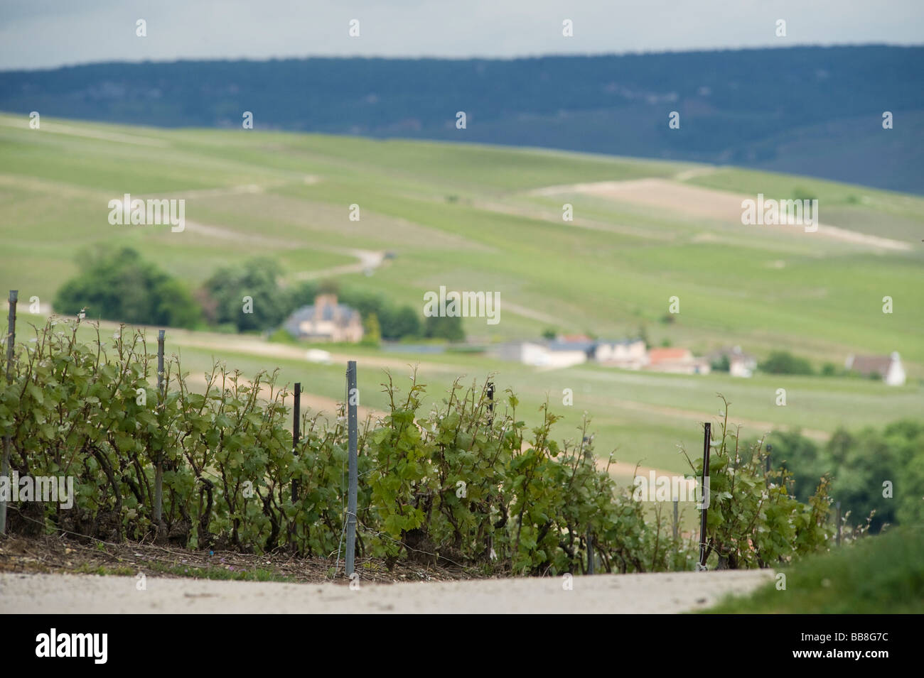 Chavot france hi-res stock photography and images - Alamy
