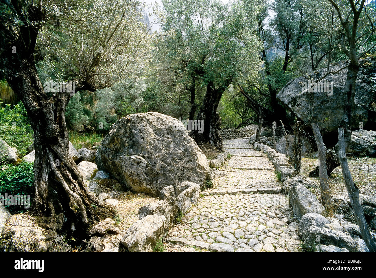 Quarry tiles hi-res stock photography and images - Alamy