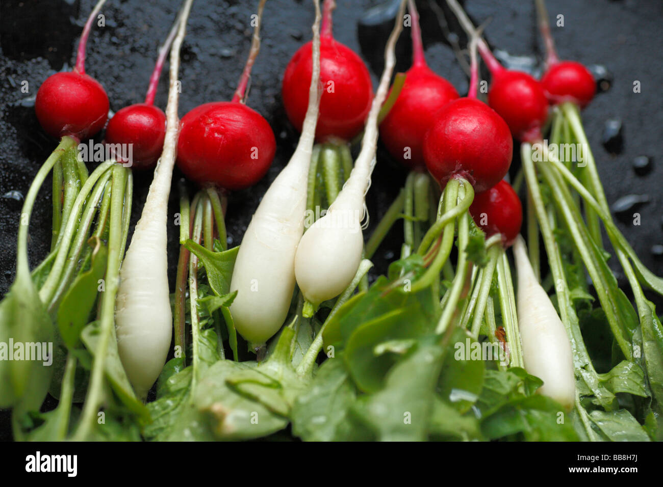 Cherry radish hi-res stock photography and images - Alamy
