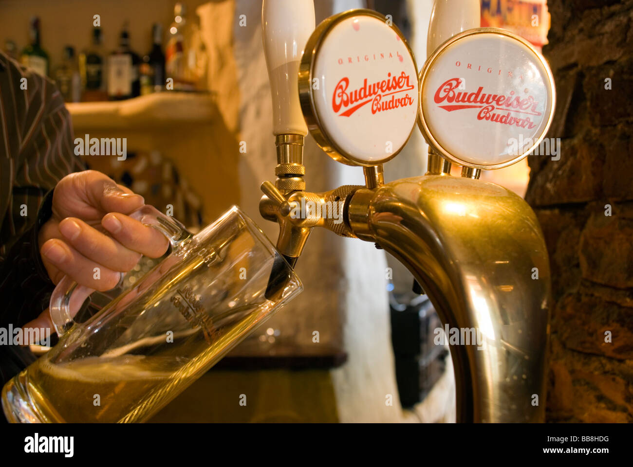 Prague Czech Republic Pouring a glass of Budweiser Budvar beer in La ...