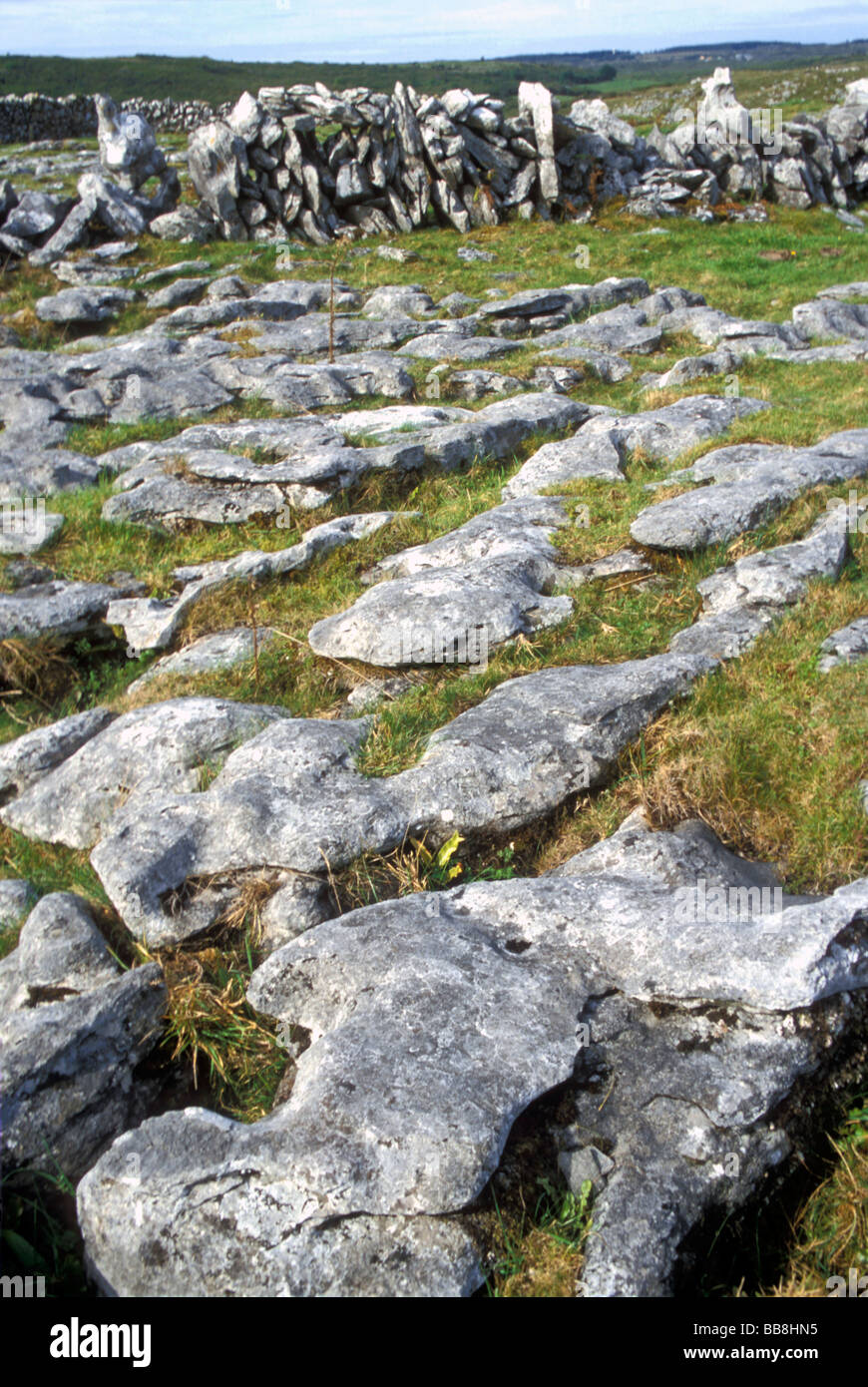 The Burren, County Clare, Ireland Stock Photo - Alamy