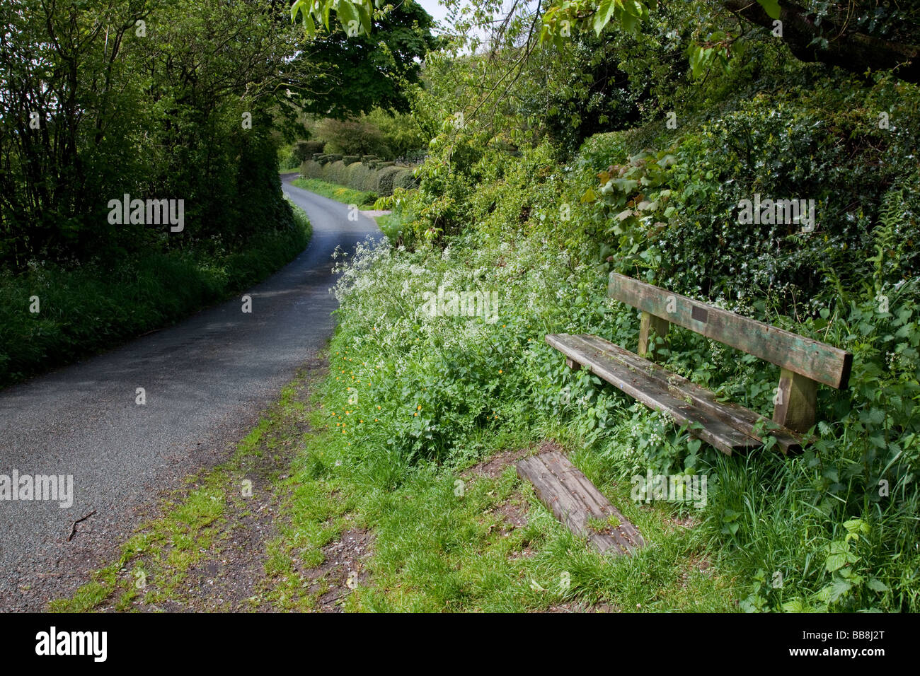 Wooden bench beside Ragdon Lane near Church Stretton, looking towards ...