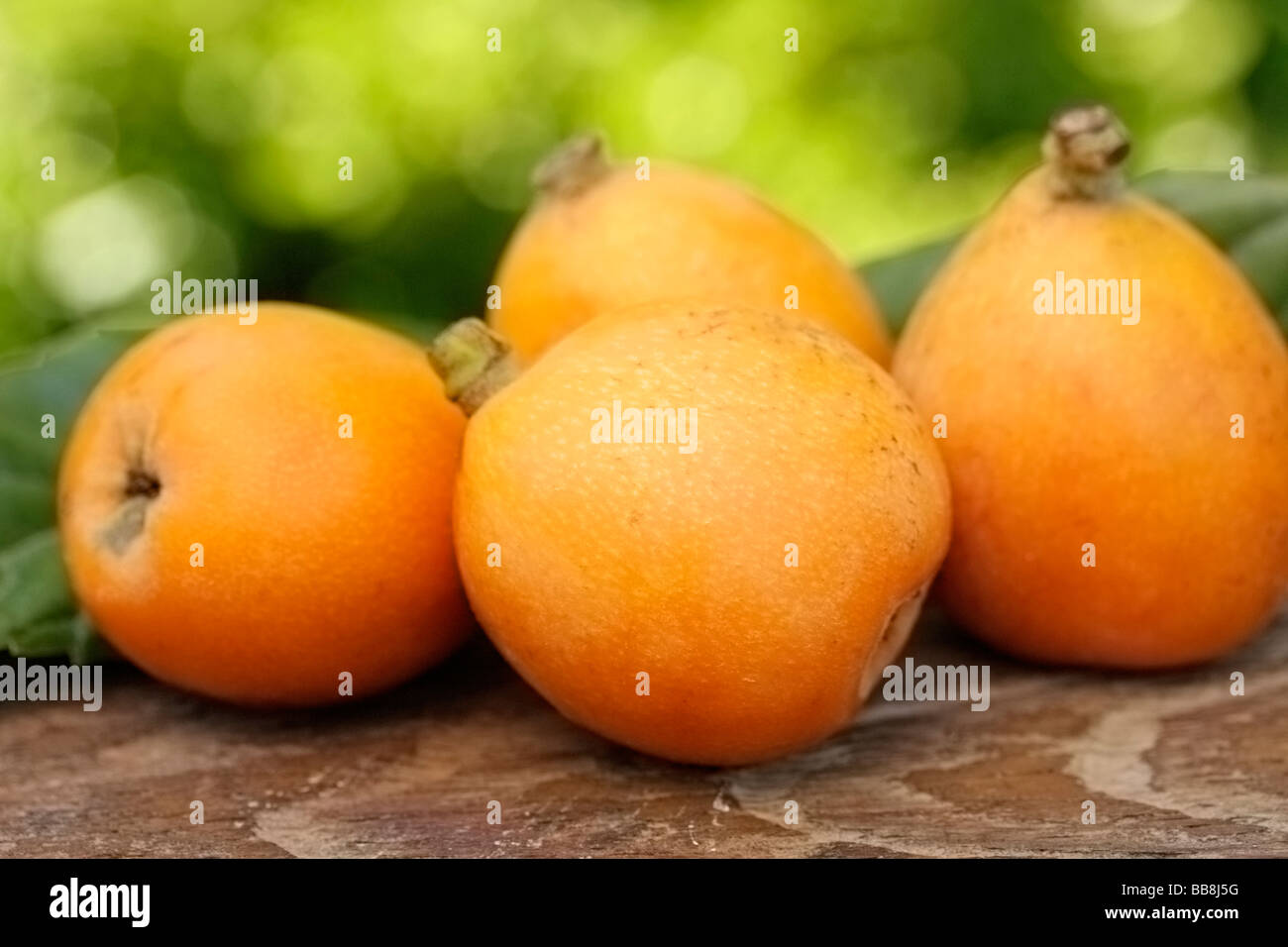 Essential requirement hi-res stock photography and images - Alamy