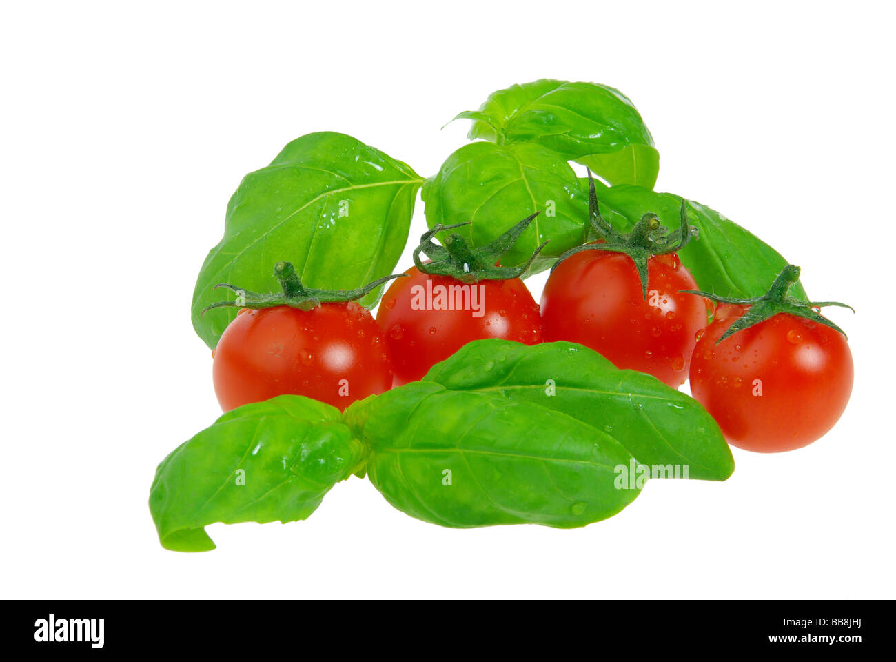 Red tomato basil leaf Cut Out Stock Images & Pictures - Alamy