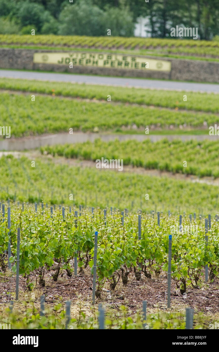 Perrier sign hi-res stock photography and images - Alamy