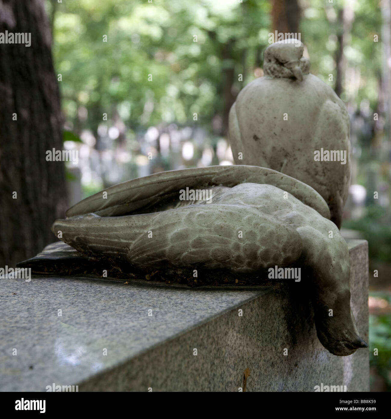 Two birds on top of a tombstone; one watching over the other which ...