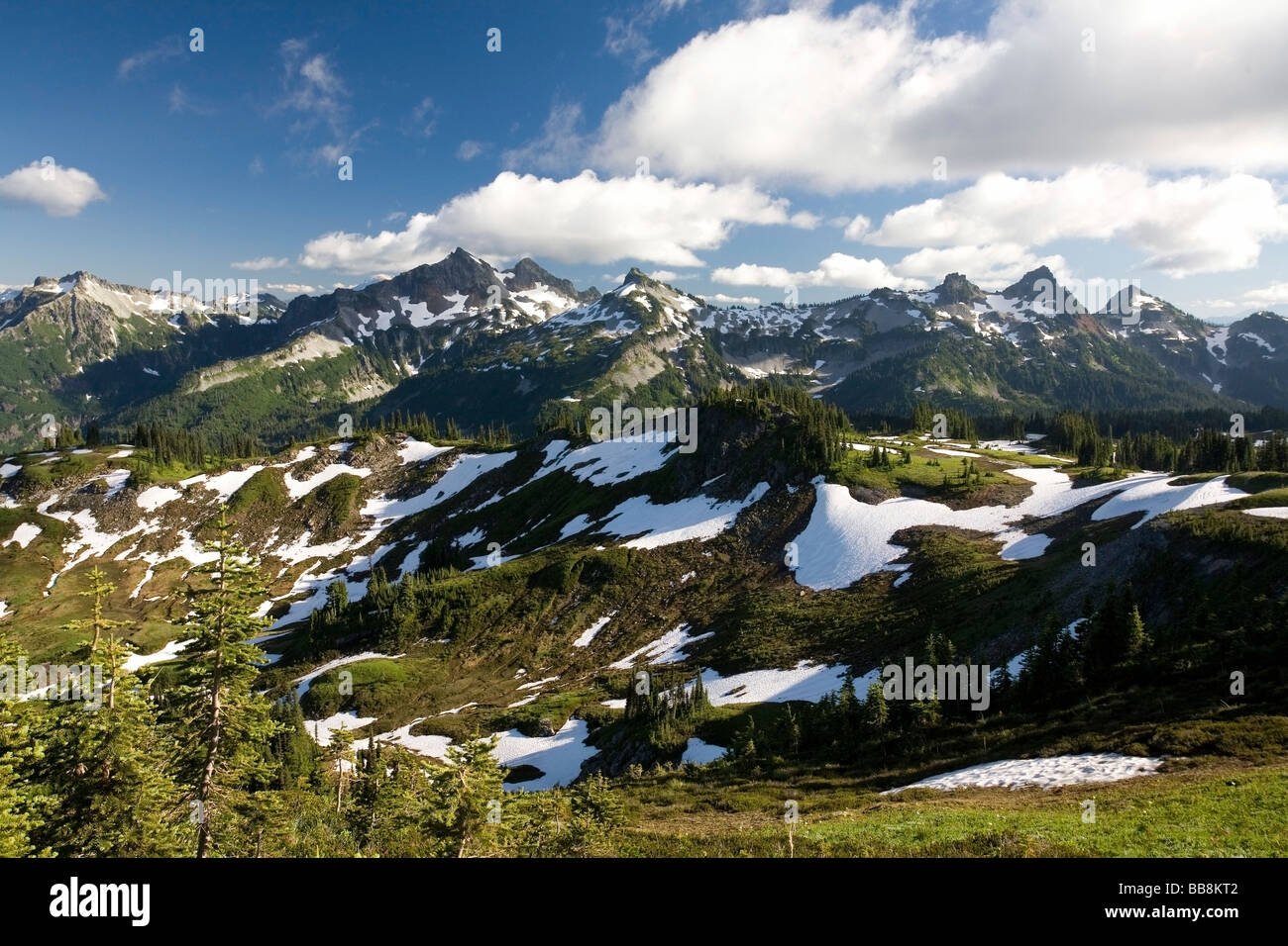 Tatoosh Mountains in spring season; Mt Rainier National Park ...