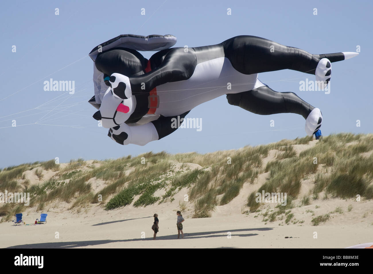 Dog kite hi-res stock photography and images - Alamy