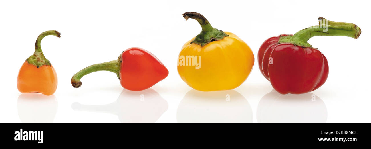 Peppers shapes hi-res stock photography and images - Alamy