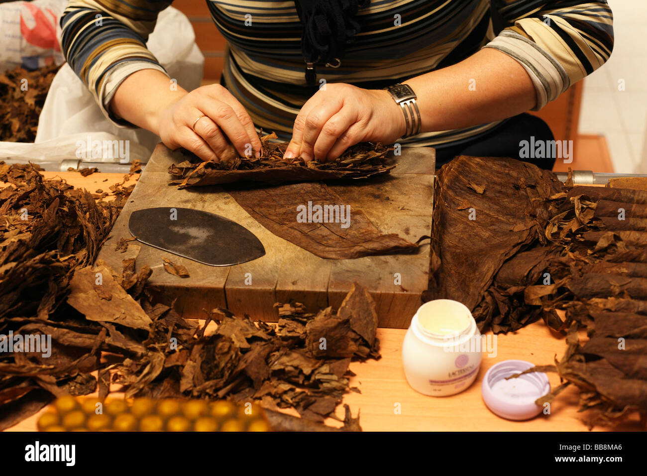 Cigar production, La Palma, Canary Islands, Spain Stock Photo - Alamy